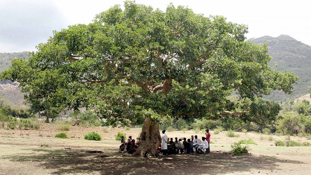 Warka Water – Every Drop Counts
