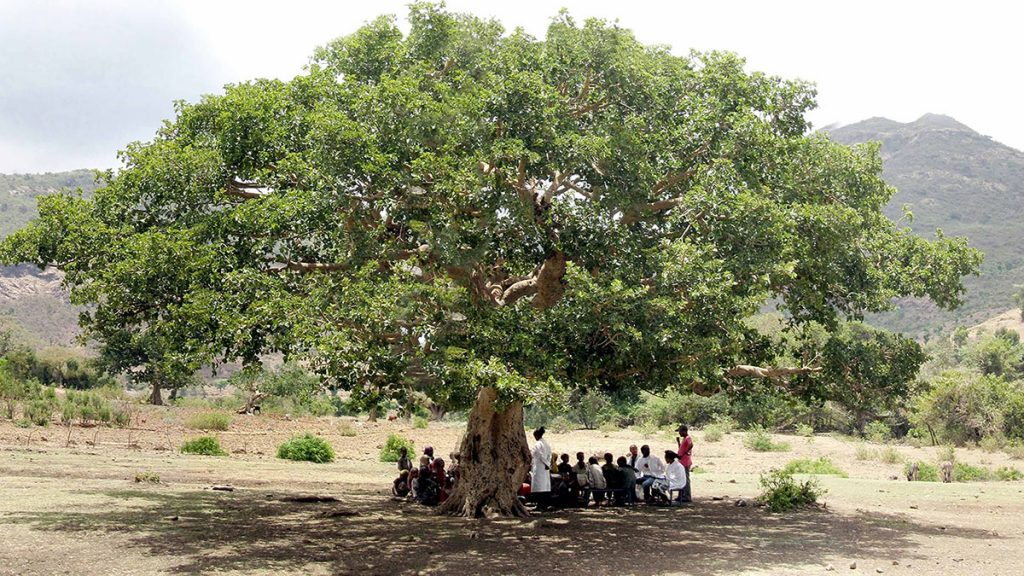 Warka Water – Every Drop Counts