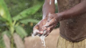 WARKA SANITATION – Warka Water