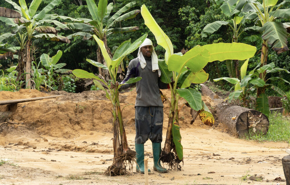 ENVIRONMENT – Warka Water