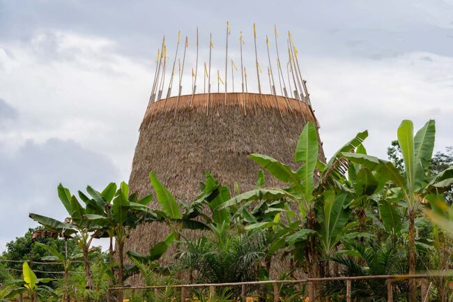Warka Water – Every Drop Counts