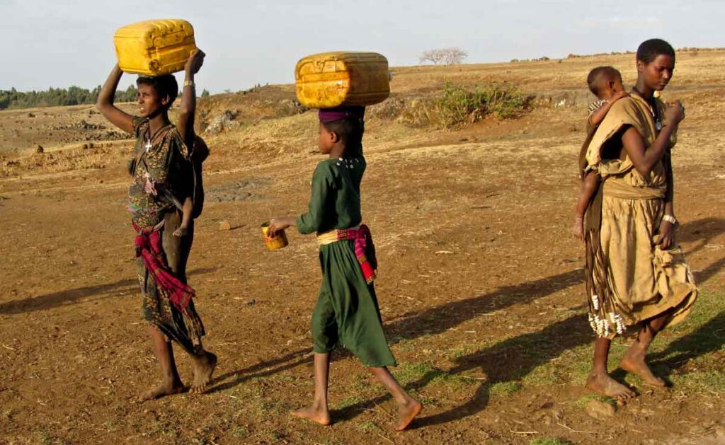 Warka Water – Every Drop Counts